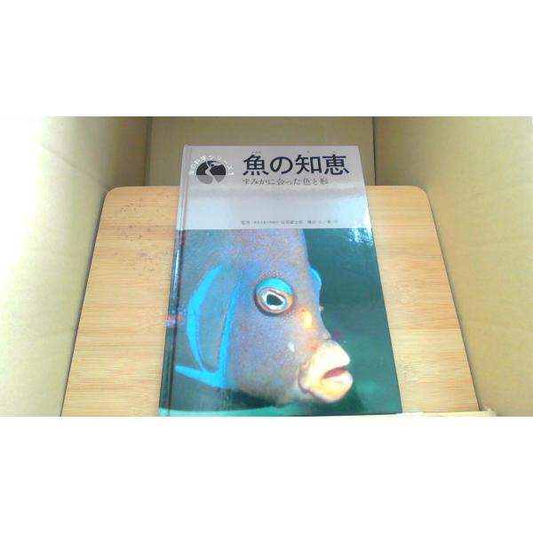 魚の知恵 すみかに合った色と形 林学 / 藍修/置車水?大学教授 安田富士郎 模成 文/瓶 柄■商品の状態【付属品】 問題なし。【カバー】 カバーなし。【本体】 多少のキズ・ヨゴレあり。■ご注文通知から３営業日以内に発送。■水ヌレ、ヨゴレ、...