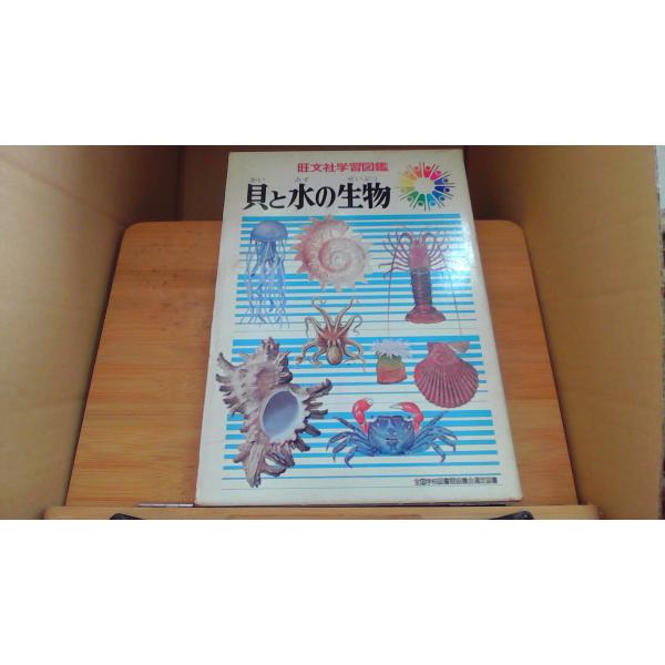 旺文社学習図鑑 貝と水に生き物■商品の状態【付属品】 問題なし。【カバー】 経年による強いキズ・ヨゴレあり。【本体】 多少のキズ・ヨゴレあり。■ご注文通知から３営業日以内に発送。■水ヌレ、ヨゴレ、キズ防止の為、耐水ビニール封筒に入れて発送い...