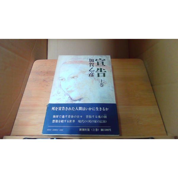 宣告 上卷 加賀乙彦1979年2月 初版発行（写真の商品の実際の発行日を示すものではありません。）ヤケ　シミ有