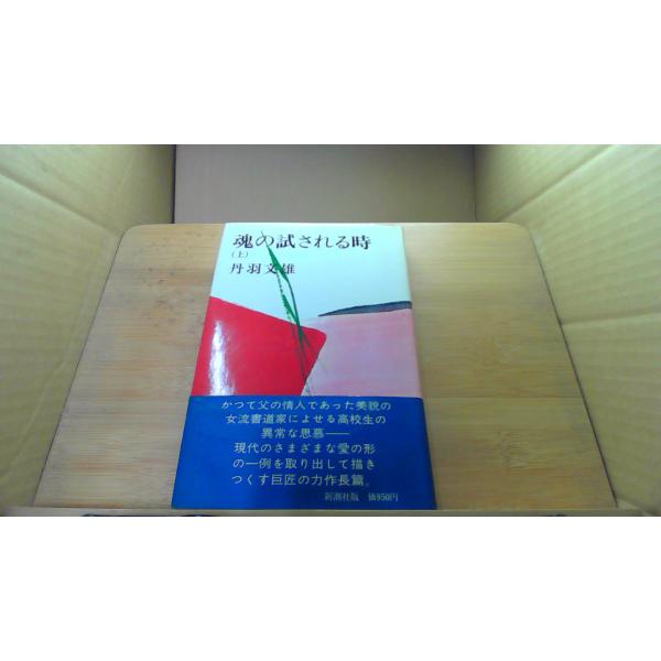 魂の試される時 上　丹羽文推【付属品】 問題なし。【カバー】 多少のキズ・ヨゴレあり。【本体】 多少のキズ・ヨゴレあり。