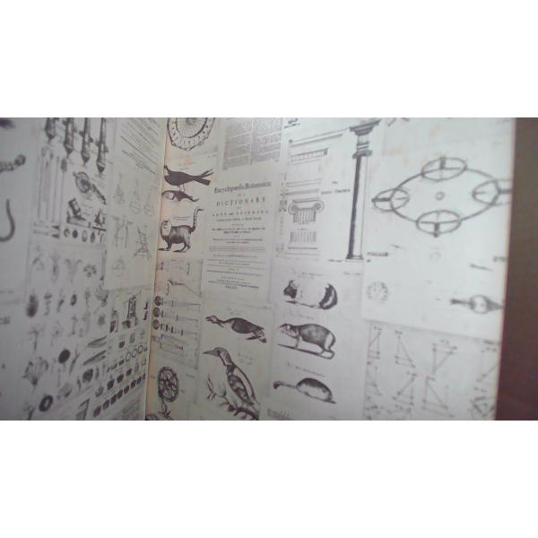 ENCYCLOPADIA BRITANNICA VOLUM21■商品の状態【付属品】 問題なし。【カバー】 カバーなし。 経年による強いキズ・ヨゴレあり。【本体】 小口に強いキズ・ヨゴレあり。 経年による強いキズ・ヨゴレあり。■ご注文通知か...