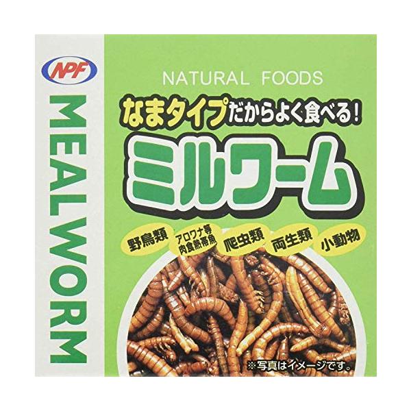 -/35グラム (x 3)/-・パッケージ個数:3・「ナチュラルペットフーズ ミルワーム ３５g」のお得な3個セットです