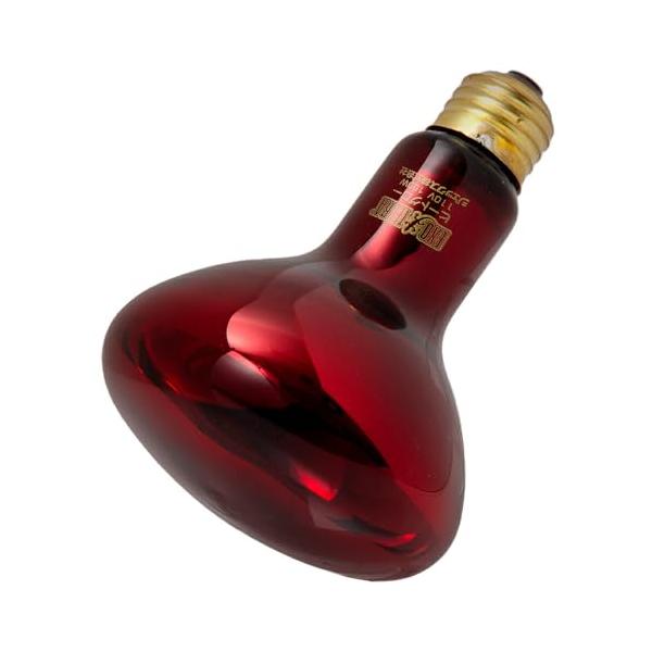 150Wマルチカラー/無し/4972547019158・Style:150W・パッケージ個数:1・本体サイズ(幅X奥行X高さ):9.5×9.5×13.5cm・本体重量:60g・原産国:中華人民共和国・昼夜兼用集光型スポットランプ・フトアゴヒ...