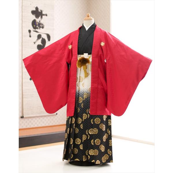 10歳 男の子 ジュニア 羽織袴レンタル d1091 男の子 フルセット 子供袴 着物レンタル ９歳〜１２歳 小学生 1/2成人式 卒業式 結婚式 イベント 発表会 赤地羽織に武田菱×黒地着物に黒金ぼかし袴【サイズ】身長…140cm〜150...