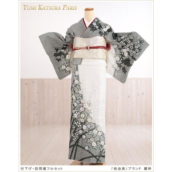 桂由美 訪問着レンタル 卒業式 母 着物 入学式 ママ 着物レンタル フルセット 訪問着 お宮参り 貸衣装 kimono 卒園式 結婚式 七五三 母親 正月 お茶 イベント レディース着物レンタル 往復送料無料 hw1387  麗粋【サイズ...