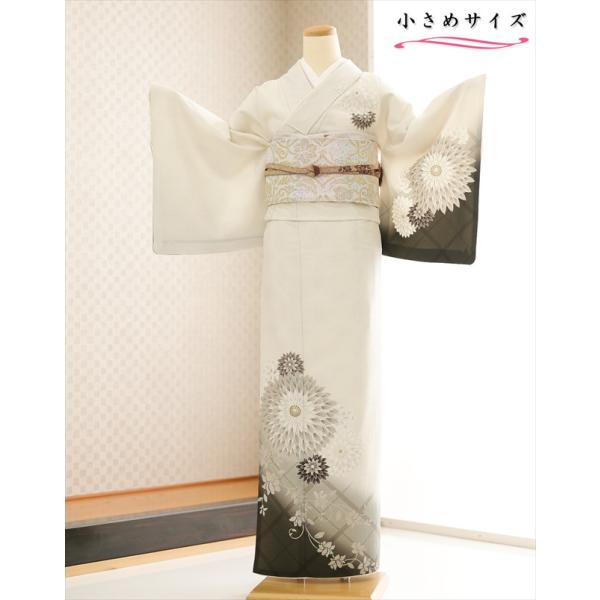 小さいサイズ 訪問着レンタル 卒業式 母 着物 入学式 ママ 華やか 着物レンタル Sサイズ フルセット 訪問着 お宮参り 貸衣装 kimono 卒園式 結婚式 七五三 母親 正月 お茶 着物レンタル 往復送料無料 hw1593s 「ジャパ...