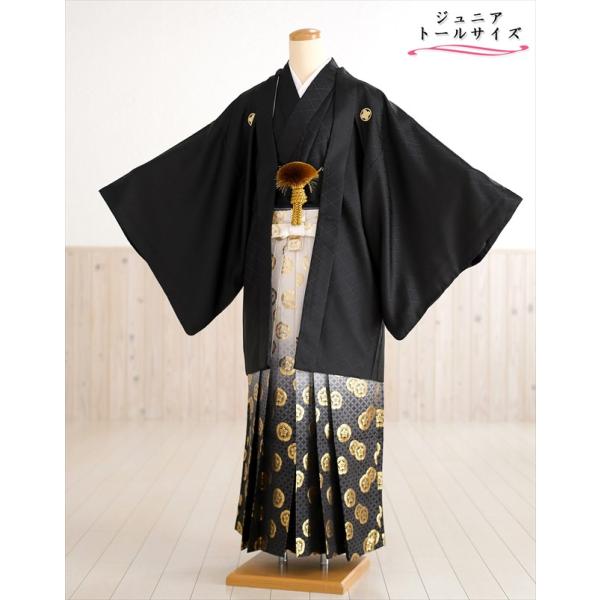 身長高め 小学校卒業式 ジュニア紋付袴レンタル 男 jbmo059-4【フルセット】大きめ12歳前後 小学生 羽織袴 男性着物 貸衣装 kimono イベント 和服 往復送料無料 「トレンディーブラック×白黒金ぼかし袴」 【サイズ】身長…1...