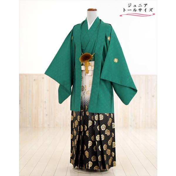 身長高め 小学校卒業式 ジュニア紋付袴レンタル 男 jbmo063-4【フルセット】大きめ12歳前後 小学生 羽織袴 男性着物 貸衣装 kimono イベント 和服 往復送料無料 「スタイルグリーン×黒金亀甲ぼかし」 【サイズ】身長…158...