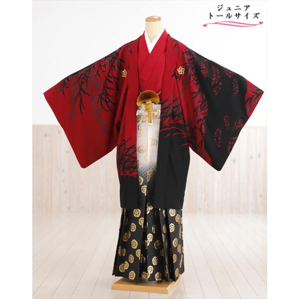 160cm前後対応 小学校卒業式 ジュニア紋付袴レンタル 男 jbmo080-4【フルセット】大きめ12歳前後 小学生 羽織袴 男性着物 貸衣装 kimono イベント 和服 往復送料無料 「modern clasicc」ブランド 赤黒ぼか...