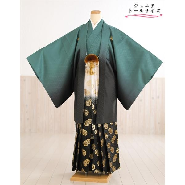 身長高め 小学校卒業式 ジュニア紋付袴レンタル 男 jbmo085-4【フルセット】大きめ12歳前後 小学生 羽織袴 男性着物 貸衣装 kimono イベント 和服 往復送料無料 「緑ぼかし慶び黒金亀甲袴」 【サイズ】身長…158cm〜16...