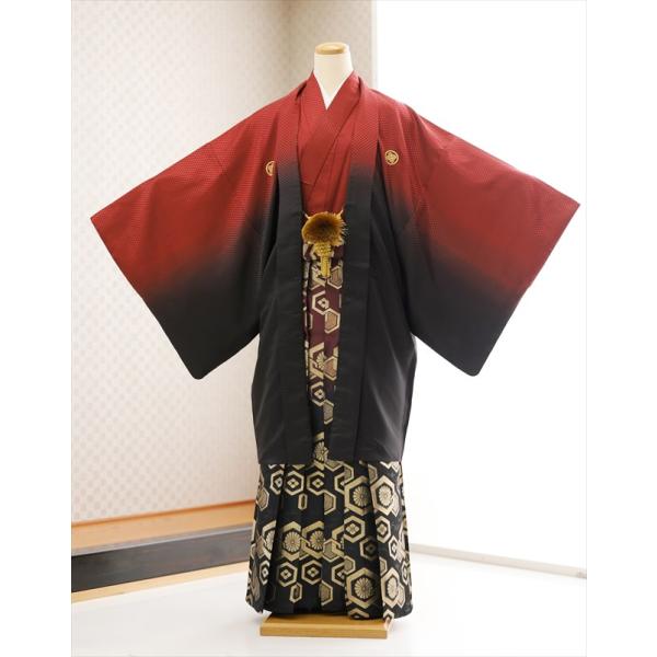 卒業式 袴レンタル 男 mo300 紋付袴 紋付きフルセット 羽織袴レンタル 着物レンタル 袴レンタル 男性着物 貸衣装 卒業式 kimono 結婚式 二次会 前撮り イベント 和服 往復送料無料「モダンクラシック」赤×黒ぼかし高級吉祥紋袴...