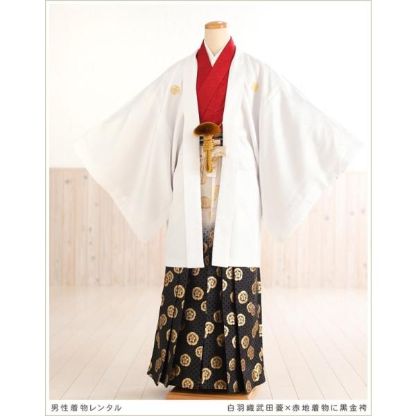 紋付袴レンタル　白羽織武田菱×赤地着物に黒金袴 mo802【紋付きフルセット】《羽織袴レンタル》《着物レンタル》〔袴レンタル〕〔男性着物〕〔貸衣装〕〔卒業式〕〔kimono〕〔結婚式〕〔二次会〕〔前撮り〕〔イベント〕〔和服〕〔Ｍ・Ｌ・LLサ...