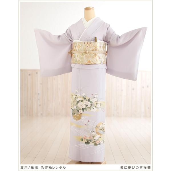 夏用 単衣 色留袖レンタル 「紫に慶びの吉祥華」 sit114 色留袖フルセット 華やか 色留袖 夏 正絹 着物レンタル 結婚式 五つ紋 単 貸衣装 式典/親族/母/姉/ママ/若い/人気/留め袖/色留め袖/6月/7月/8月/9月 送料無料【...