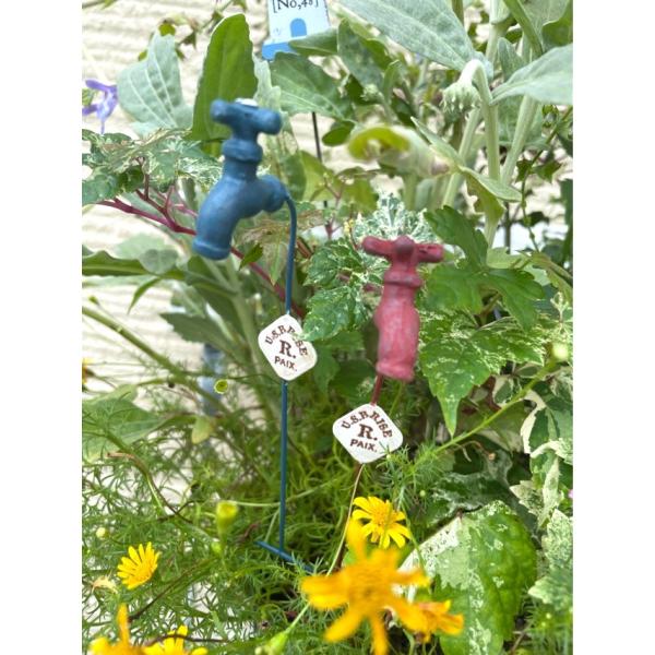 【発売日：2025年09月19日】****製品についてご注意ください。****【実店舗でも販売中のためご注文時に在庫切れとなることがございます。】製品は、全てメーカー在庫のため万一品切れの場合次回入荷予定までにお時間をいただく場合がございま...