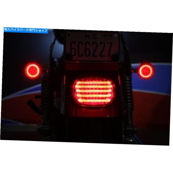 テールライト カスタムダイナミクスPB-TL-LP-R Proviam LEDロープロファイルタレイト/プレートライトレッド Custom Dynamics PB-TL-LP-R ProBEAM LED Low-Profile Tailli...