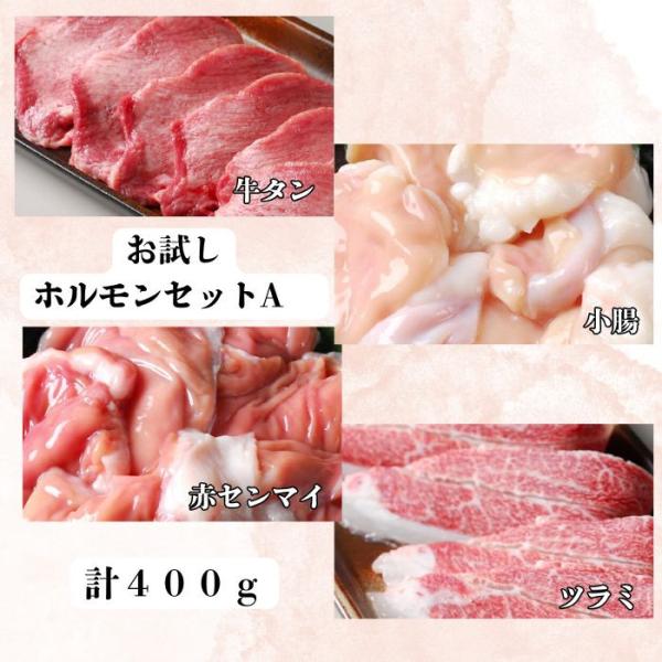 ホルモンセット（A）【内容量】・宮崎県産黒毛和牛小腸100g・宮崎県産黒毛和牛赤センマイ100g・宮崎県産黒毛和ツラミ100g・米国産牛タン100g【賞味期限】商品到着後の冷凍保存で3ヶ月解凍後はできるだけお早めにお召し上がり下さい。【保存...