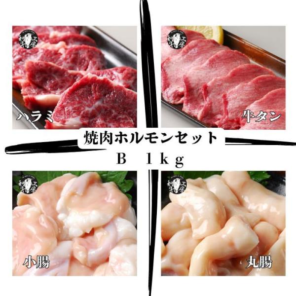 焼肉ホルモンセット（B）【内容量】・米国産ハラミ400g・米国産牛タン200g・宮崎県産黒毛和牛小腸200g・宮崎県産黒毛和牛丸腸200g【賞味期限】商品到着後の冷凍保存で3ヶ月解凍後はできるだけお早めにお召し上がり下さい。【保存方法】-1...