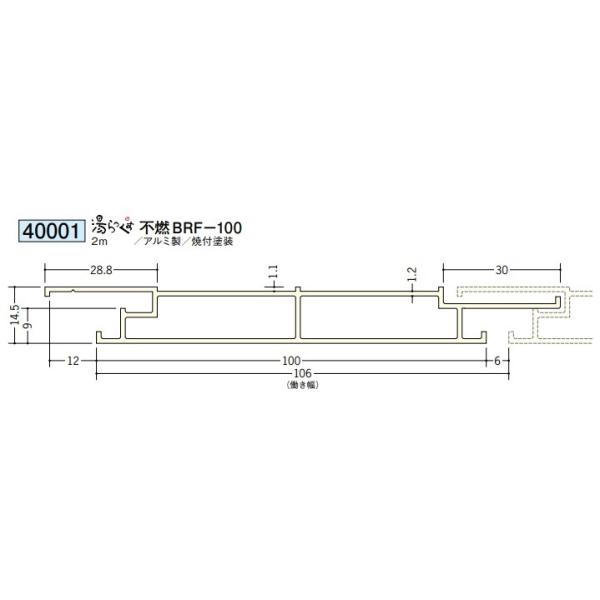 バスリブ 浴室壁・天井材 湯らっくす 壁・天井兼用 不燃 BRF-100 2ｍ ビニール製／焼付塗装 創建 40001-2 お届け先が法人様限定です