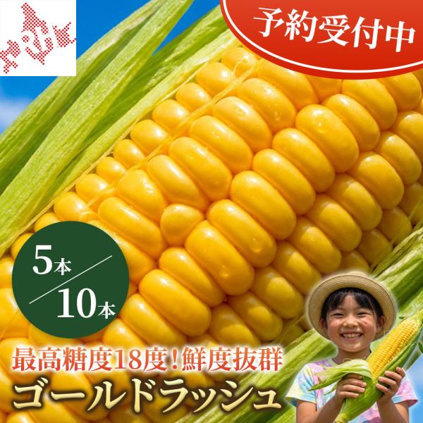 生産者から収穫当日の朝に直接仕入れ、その日のうちに新鮮なまま発送いたします。北海道の冷涼な気候と昼夜の寒暖差により育ったとうもろこしは、糖度が高く、みずみずしく、フルーツのような甘さが特徴です。ゴールドラッシュは濃厚な甘みと粒の張りが魅力の...