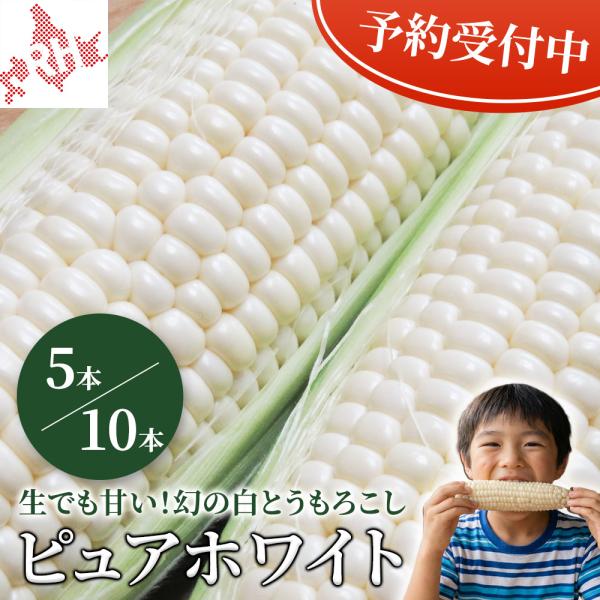 生産者から収穫当日の朝に直接仕入れ、その日のうちに新鮮なまま発送いたします。北海道の冷涼な気候と昼夜の寒暖差により育ったとうもろこしは、糖度が高く、みずみずしく、フルーツのような甘さが特徴です。ピュアホワイトは真っ白な粒が特徴の希少品種で、...