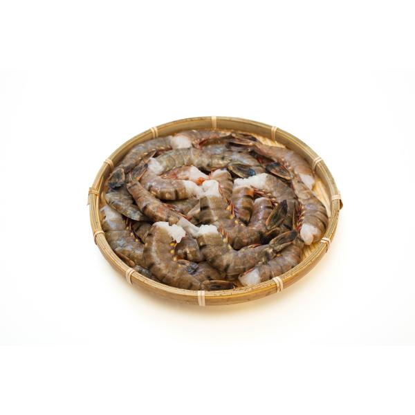 毎日の料理に使いやすい“ちょうどいい”サイズ！プリプリの食感が魅力のブラックタイガー海老。こちらは1ポンドあたり26〜30尾の中サイズで、炒め物・揚げ物・煮込み料理など、幅広く使いやすいサイズ感です。頭なし・殻付き・ブロック凍結タイプで、鮮...