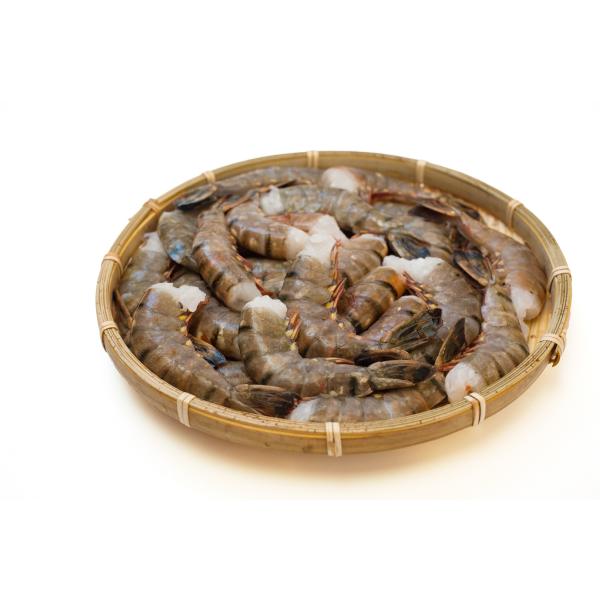 プリプリ食感がたまらない！存在感バツグンの大ぶり海老「ブラックタイガー」を、鮮度そのままブロック凍結。たっぷり1.8kg入りで、業務用にも、ご家庭の贅沢料理にもぴったり！頭なし・殻付きタイプなので、旨みを逃さず香ばしさもしっかり。エビフライ...
