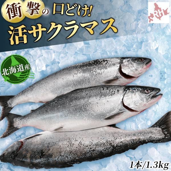 "北海道の海で育った天然サクラマス。春に旬を迎えるサクラマスは、脂のりが良く、上品でクセのない味わいが特徴の高級魚です。身はきめ細かく、ほんのり甘みがあり、しっとりとした食感。天然ならではの豊かな風味をお楽しみいただけます。本商品は水揚げ後...