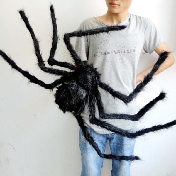 【発売日：2025年09月01日】リアルな毛並みと赤い目で迫力満点！ハロウィンパーティーやお化け屋敷の演出に最適。■カラーブラック■サイズ全長：約120cm〜150cm（脚を広げた状態）（※手計測のため±1cmの誤差が生じる可能性）■材質外...
