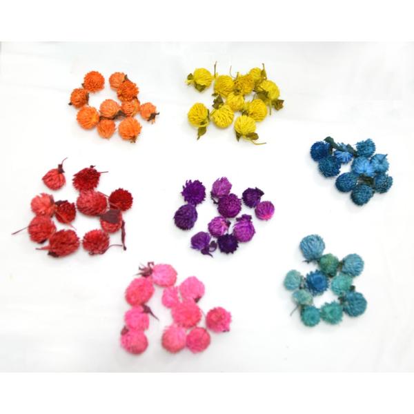 ハーバリウムやアレンジの副素材に。使いやすく小分けした少量パック。約10個入り。サイズ約1〜1.5ｃｍ ※商品の性質上、花びらが取れる場合がございます。予めご了承下さいませ。※ブルーとライトブルーはあまり色の差がない場合がございます。