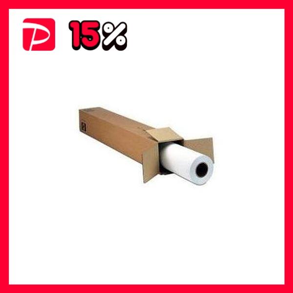 OA・プリンタ用紙 ＞   エプソンプロフェッショナルフォトペーパー(厚手半光沢) 60インチロール 1524mm×30.5m PXMC60R21本 【ジャンル・特徴】 EPSON MAXARTシリーズ専用紙 [ PXMC60R2 ]