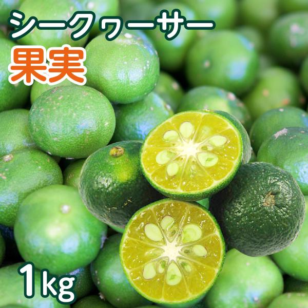 青切りシークヮーサーは完熟果に比べノビレチンなどの栄養成分の含有量が多いのが特徴です。【名　称】沖縄県産 青切りシークワーサー果実【内 容 量】約1kg（約40個〜50個前後）【保存方法】要冷蔵