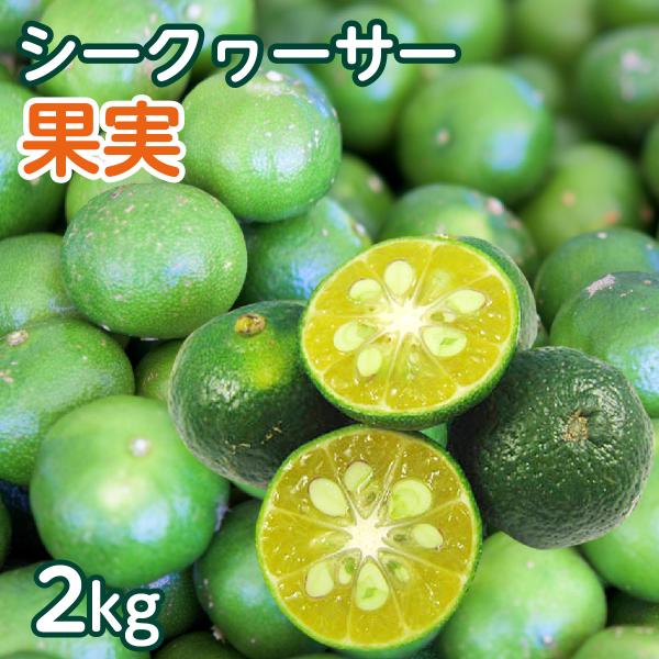 青切りシークヮーサーは完熟果に比べノビレチンなどの栄養成分の含有量が多いのが特徴です。【名　称】沖縄県産 青切りシークワーサー果実【内 容 量】約2kg（約80個〜100個前後）【保存方法】要冷蔵
