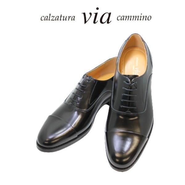 スタンダードなシルエットが上品な仕上がりのトラッドシューズ仕立ての良い革素材と足馴染みのよい3Eの木型があらゆるビジネスシーンで活躍します。シンプルなチップ（切り返しライン）でフォーマルにお使いになれます。3Eの幅立ちは、足に無理が無く、履...