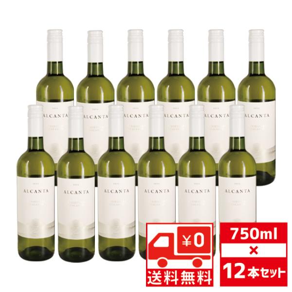 ALCANTA AIREN MACABEO BOCOPA昼12時までのご注文は【あすつく】対象です。離島、一部地域は【あすつく】対象外となります。また、店舗休業日なども対象外となります。詳しくはお問合せください。お酒 引越し 挨拶 就職祝い...