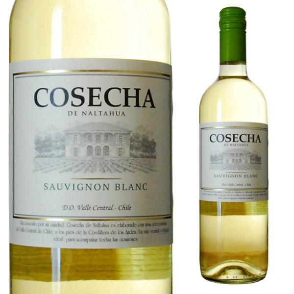 ＣＯＳＥＣＨＡ SAUVIGNON BLANC昼12時までのご注文は【あすつく】対象です。離島、一部地域は【あすつく】対象外となります。また、店舗休業日なども対象外となります。詳しくはお問合せください。お酒 引越し 挨拶 就職祝い 退職祝い...