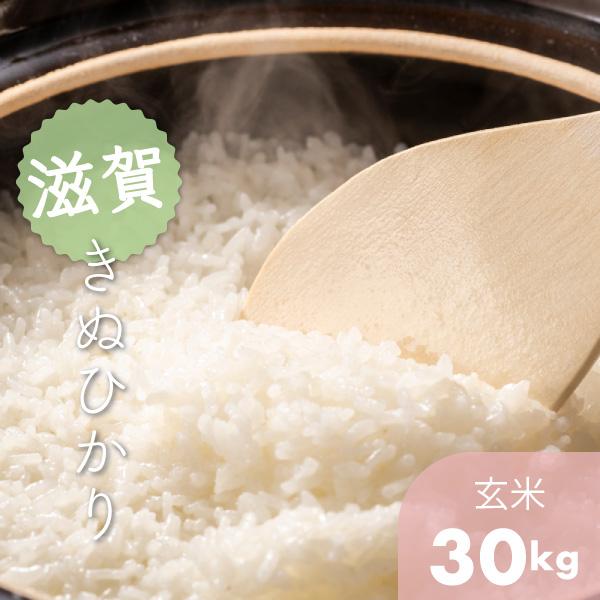 キヌヒカリは、コシヒカリよりもあっさりとした口当たりが特徴的です。コシヒカリほどの強い粘り気がなく、どちらかというとぱらっとしたソフトな口当たりです。その口当たりの良さと炊き上がりの美しさから寿司屋での需要が高く、関西の寿司屋でのシェアが非...