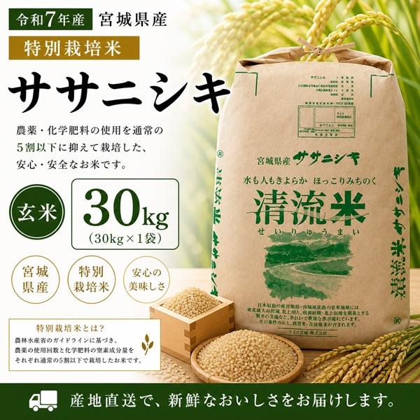 令和7年産 宮城県産 特別栽培米 ササニシキ 未調整玄米 30kg（30kg×1袋）産地直送農薬・化学肥料を通常の半分以下に抑えた特別栽培米。登米市から産地直送でお届けします。■特別栽培米とは慣行比50%以下の農薬・化学肥料で育てたお米。環...