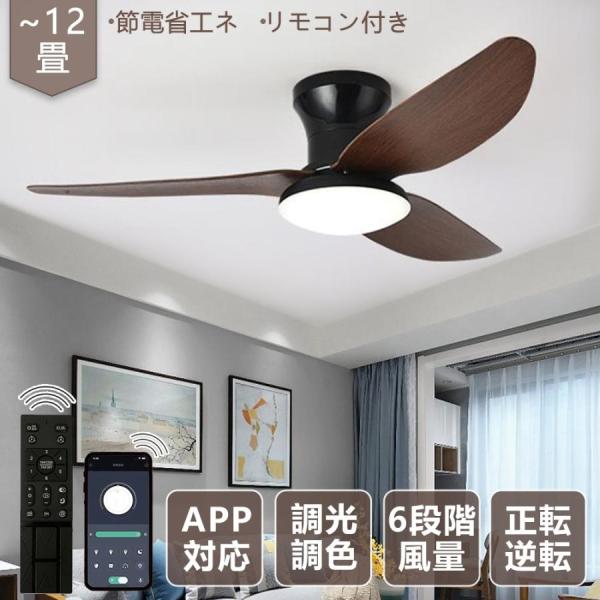 電源：90-265V・50/60Hz定格消費電力：モーター：30w ／ 照明：48w　照明光束：最大時2400lm光色：電球色・昼白色・昼光色切替可能　明るさ調整：無段階　LED交換：可能材質：鉄・銅・プラスチック・繊維強化プラスチック（羽...
