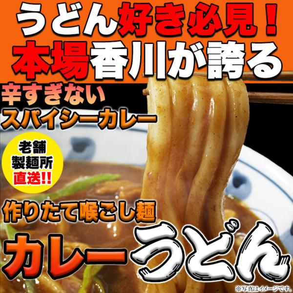 本場香川のさぬきうどんです！！やみつき、つるつる麺に絡む程よいカレースープ付（粉末）です。讃岐の製麺所が作る、レンジで簡単！辛すぎないスパイシーなカレーうどん4食(180g×4)■内容量：4食(１袋当たり205g（めん180g））※丼が熱く...