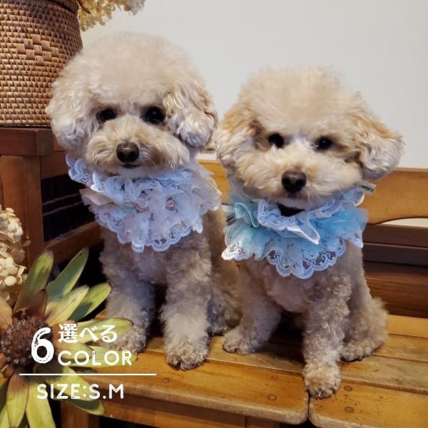 愛猫がますますかわいくなるチョーカーです。首に巻いてもフリフリレースで高見え効果抜群！！つけ襟のようにつけても、頭につけても可愛く素敵な印象！！お祝い事　誕生日　記念撮影などなど写真撮影 イベントなどに！縛るタイプですのでノンストレス。【サ...