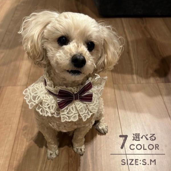 レースフリフリでかわいいチョーカークリスマス　お正月　お誕生日などなどおめかしするシーンに◎写真撮影 　お洋服苦手なネコちゃん・ワンちゃんでも雰囲気変わります！！チョーカーを付けるだけで高見え効果あり◎スタッフおススメ色違いでその時の雰囲気...