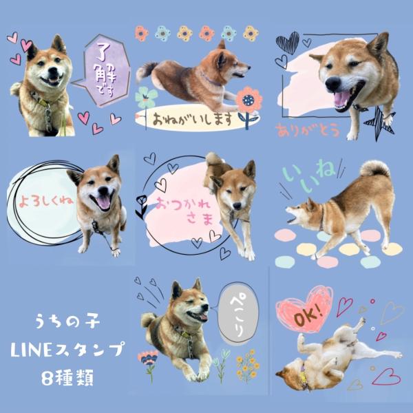 【発売日：2023年08月11日】【うちの子シリーズ】新作！！オリジナルLINEスタンプをおつくり致します。PETの写真のLINEスタンプで作りませんか？うれしくてかわいくてみんなに見せたくなるスタンプです。シリーズ第一弾・・・柴犬HANA...