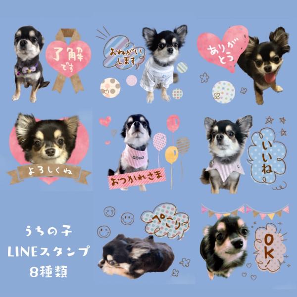 【発売日：2023年08月11日】【うちの子シリーズ】新作！！オリジナルLINEスタンプをおつくり致します。PETの写真のLINEスタンプで作りませんか？うれしくてかわいくてみんなに見せたくなるスタンプです。シリーズ第一弾・・・チワワCOC...
