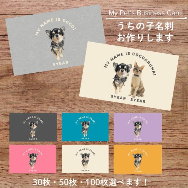 【発売日：2023年09月13日】【２０２６年　リニューアルデザイン】完全オリジナル【うちの子名刺 30枚・50枚・100枚】イベントやドッグラン、オフ会などお散歩でのお友達との挨拶とし特別な一枚をお持ちになりたい飼い主様に今回はカラフルな...
