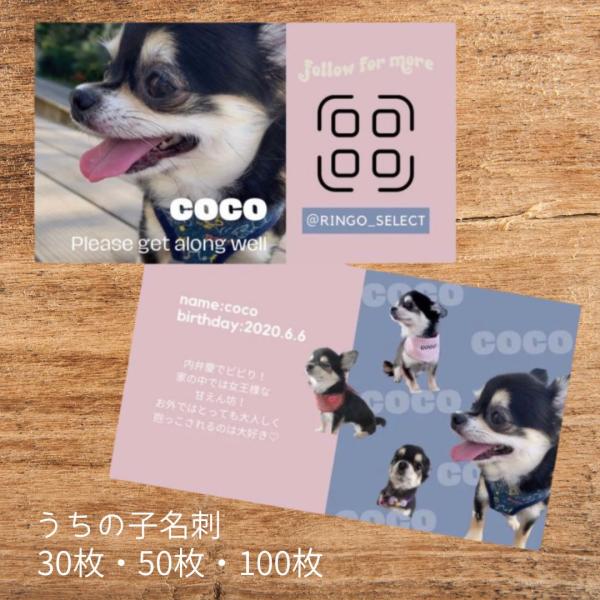 可愛いうちの子名刺（３０枚・５０枚・１００枚）イベントやドッグラン、オフ会などお散歩でのお友達との挨拶とし特別な一枚をお持ちになりたい飼い主様に今回はお手元にあるお写真をそのまま使用して名刺を作ってみました◎オーダーメイドのため、ご注文いた...