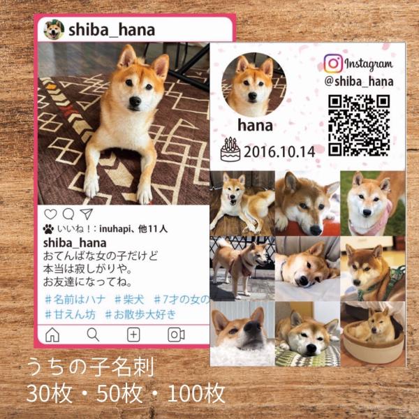 【枚数によって価格は変更しますがそのほか追加料金は一切かかりません】可愛いうちの子名刺（３０枚・５０枚・１００枚）イベントやドッグラン、オフ会などお散歩でのお友達との挨拶とし特別な一枚をお持ちになりたい飼い主様に今回はお手元にあるお写真をそ...