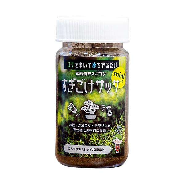 bigarrow-sugigokemini ふりかけのようにサッまいて水をやるだけ ※詳細は商品説明をご確認下さい。商品ページは縦長です。