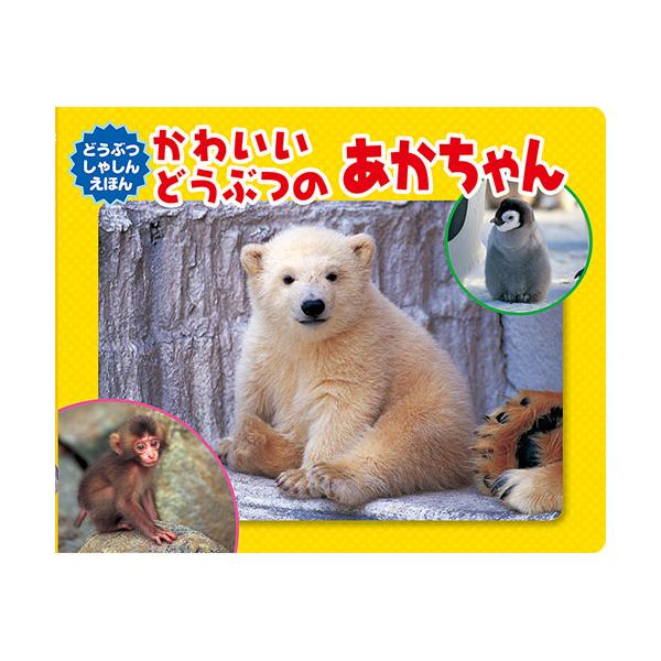 CSS62241 ライオン、シカ、ゾウなど16種類の動物赤ちゃんの写真絵本。 ※詳細は商品説明をご確認下さい。商品ページは縦長です。