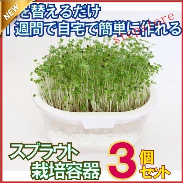 かいわれタイプ栽培容器欧米発！ジャーで育てる新食感スプラウト中型　3個入　510円2セット以降　地域別料金 or 710円の安いほう