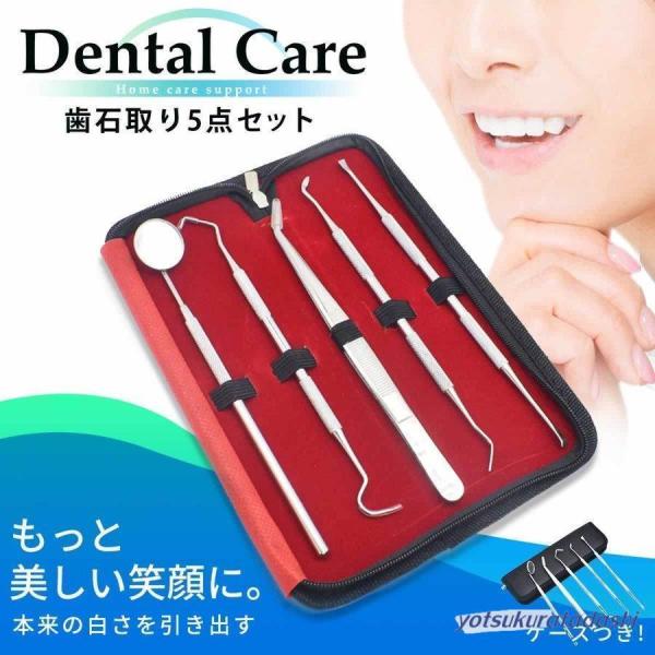 歯垢取り 5点セット スケーラー 除去 器具 自宅用 歯石になる前に自分で取る ヤニとり ステンレス製 先極細 デンタルツール しこう取りお口の中の健康状態が全身に及ぼすというのは良く言われますよね？ご自宅で簡単に歯の汚れを除去できるオーラ...
